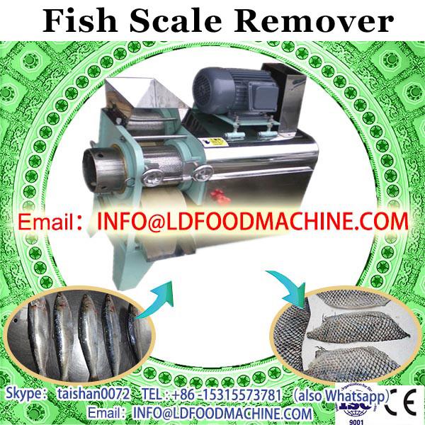 fish scaling machine
